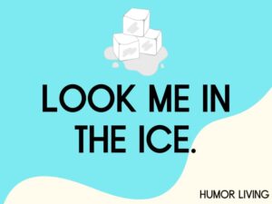 125+ Hilarious Ice Puns to Chill With Laughter - Humor Living