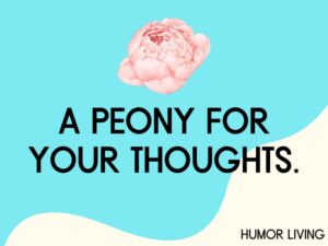 160+ Funny Plant Puns to Grow Laughter - Humor Living