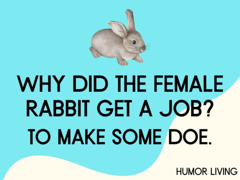 85+ Hilarious Rabbit Jokes to Make You Hop With Laughter - Humor Living