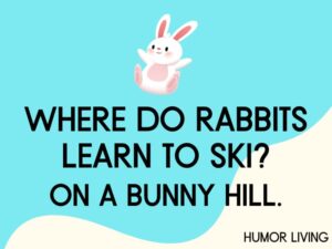 85+ Hilarious Rabbit Jokes to Make You Hop With Laughter - Humor Living