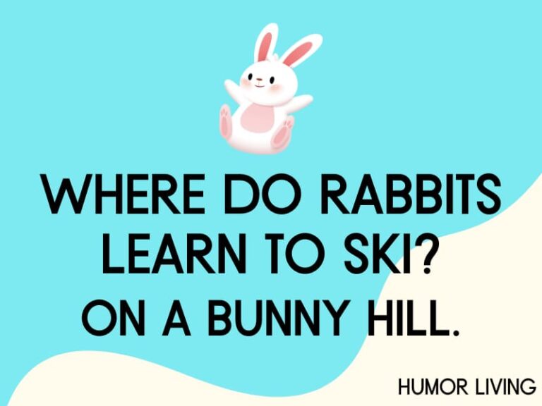 85+ Hilarious Rabbit Jokes to Make You Hop With Laughter - Humor Living
