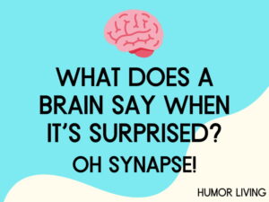 45+ Hilarious Brain Jokes to Make You Laugh - Humor Living