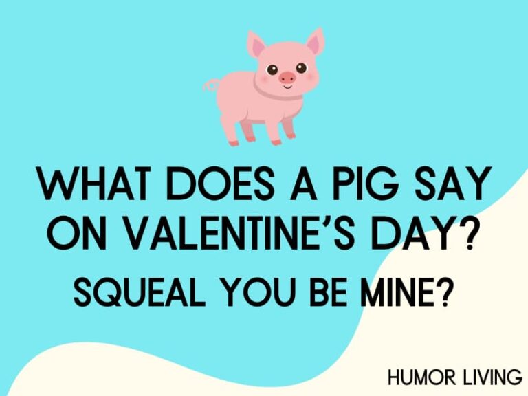 80+ Hilarious Pig Jokes to Make You Oink With Laughter - Humor Living