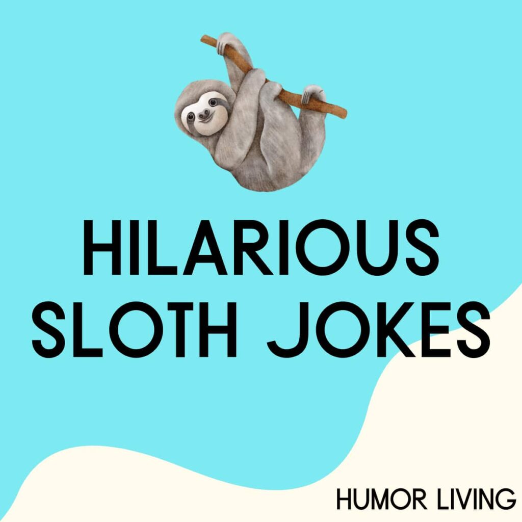 40+ Hilarious Sloth Jokes to Make You Laugh - Humor Living