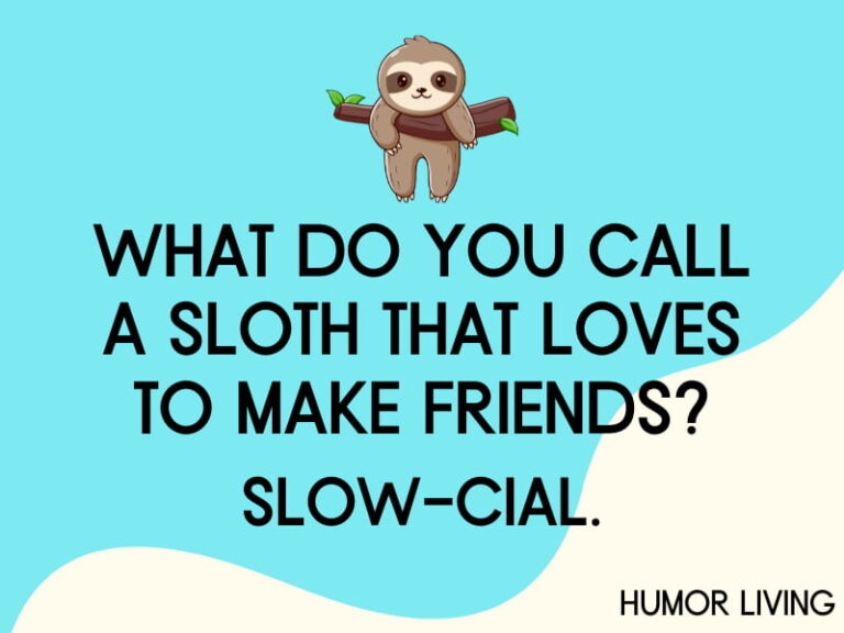 40+ Hilarious Sloth Jokes to Make You Laugh - Humor Living