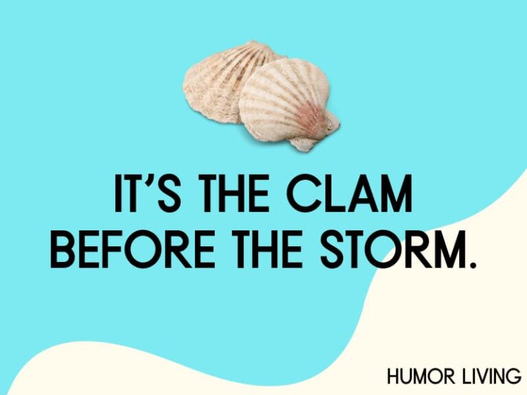 70+ Hilarious Clam Puns That Are Espe-shell-y Funny - Humor Living