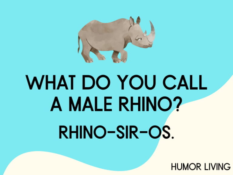 30+ Hilarious Rhino Jokes - Humor Living